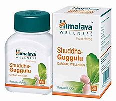 Guggul Capsules 60's | Natures Healing South Africa
